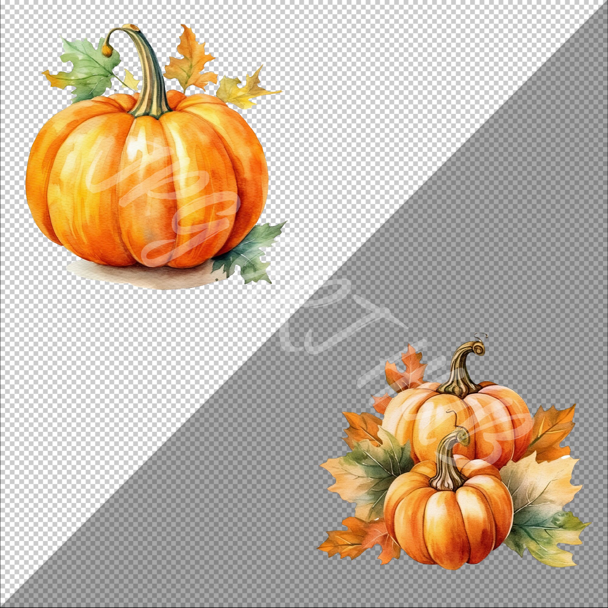 Watercolor Pumpkin Clipart, Fall Clipart Bundle, High Quality PNG ...