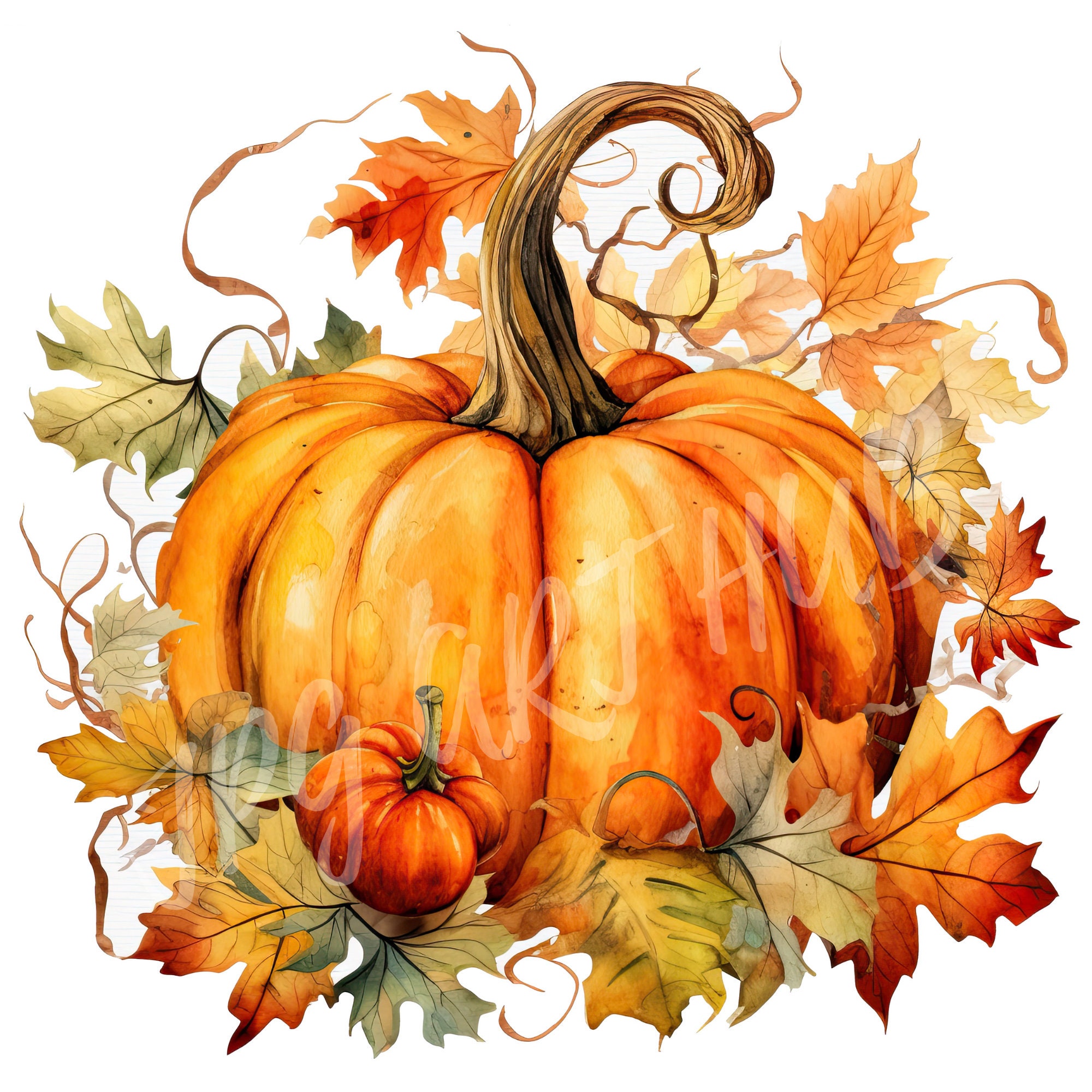 Watercolor Pumpkin Clipart, Fall Clipart Bundle, High Quality JPG ...