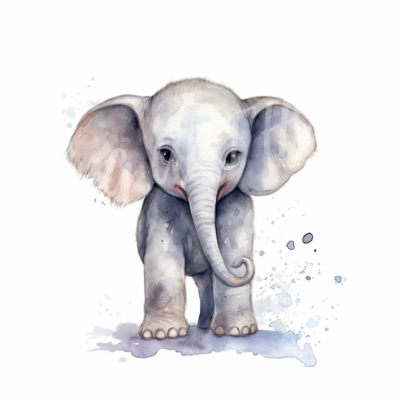 Watercolor Baby Elephant Clipart Elephants Illustration - Etsy