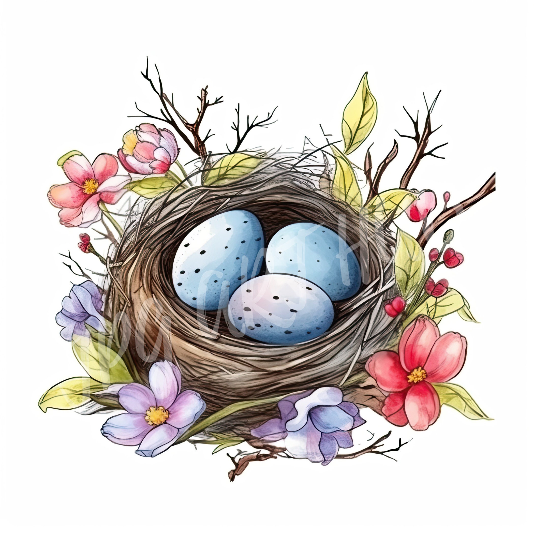 Watercolor Bird Nest With Eggs Clipart Bird Nest Clipart - Etsy