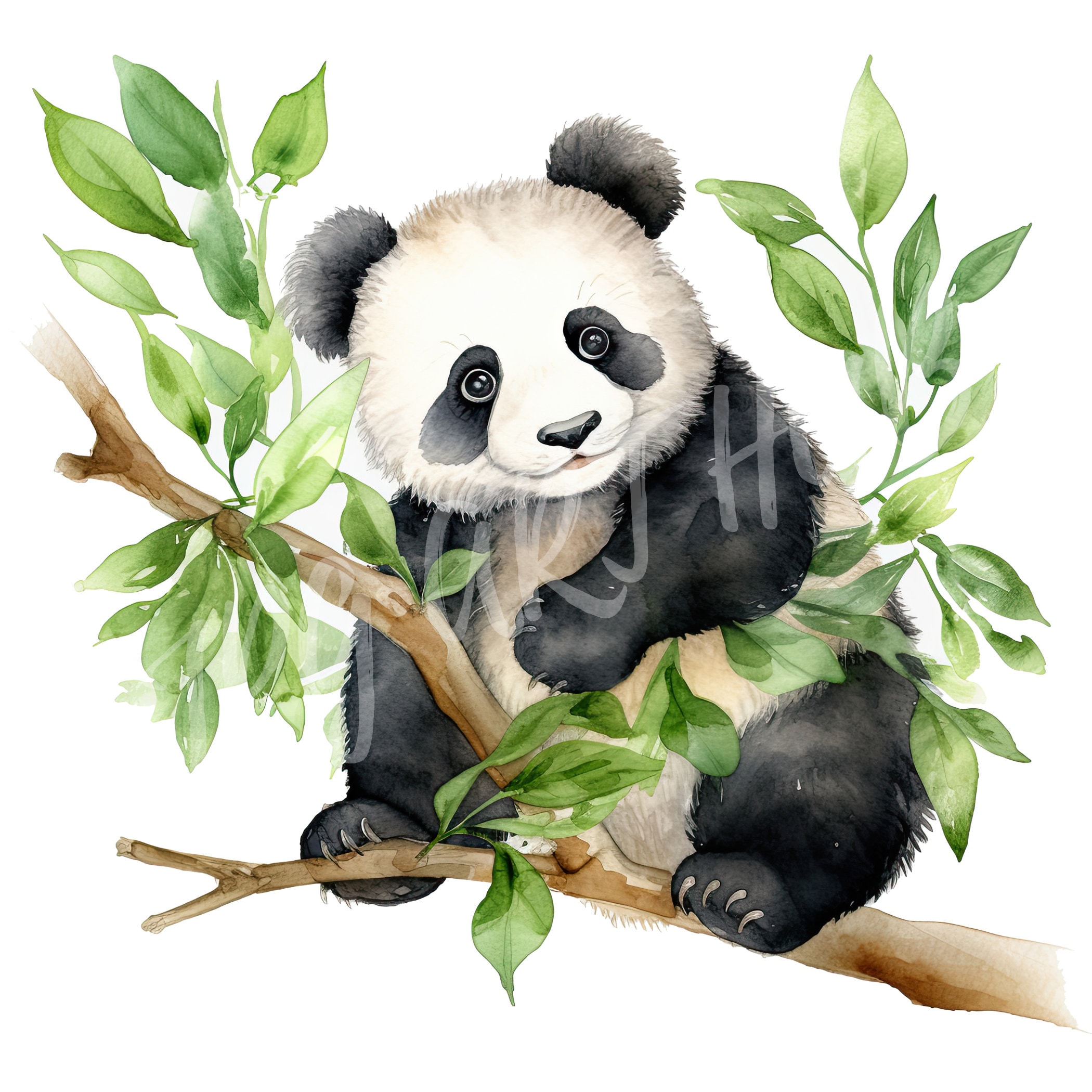 Watercolor Cute Panda Clipart Bundle Baby Panda High Quality - Etsy