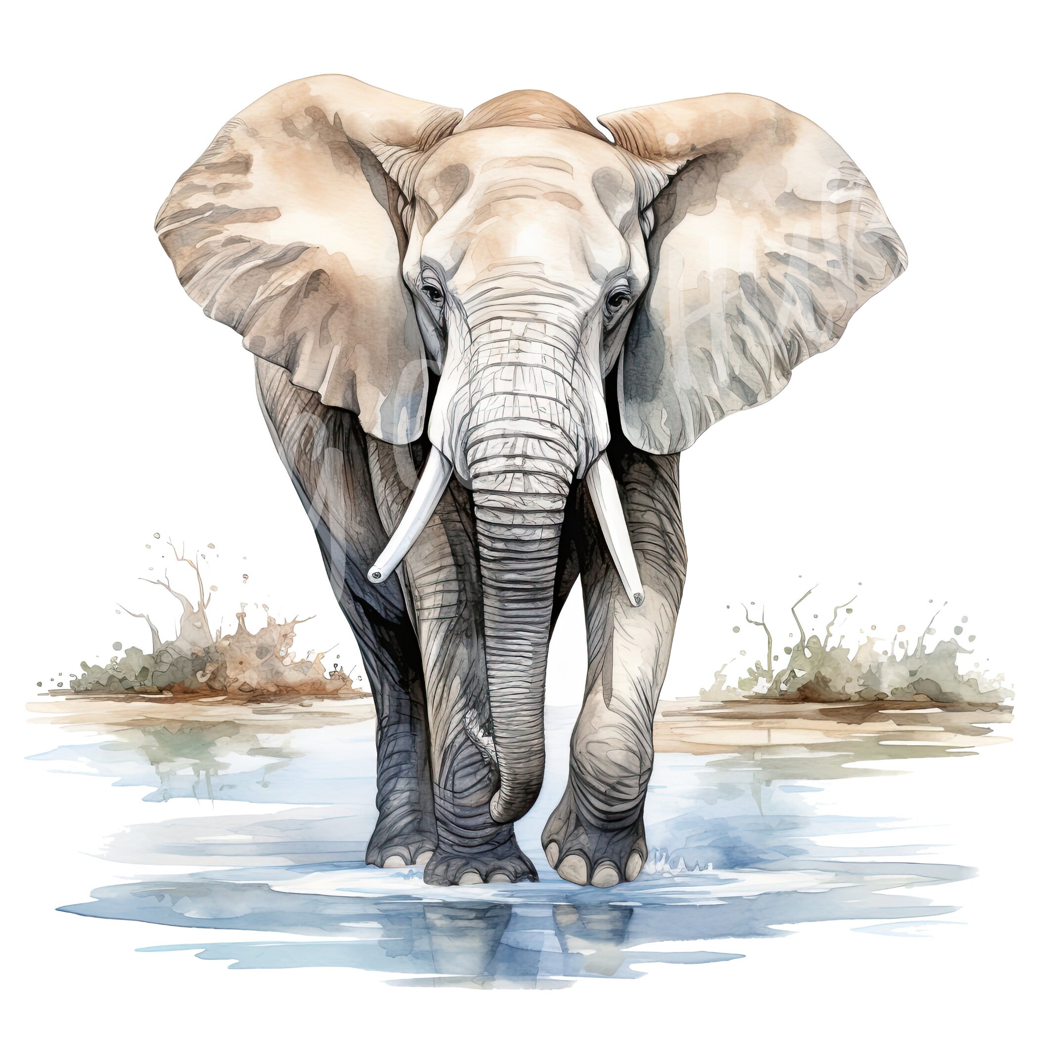 Watercolor Elephants Clipart Bundle, Wild Animal Clipart, High Quality ...