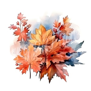 Watercolor Autumn Elements Clipart, Autumn Clipart, Pine Cone ...