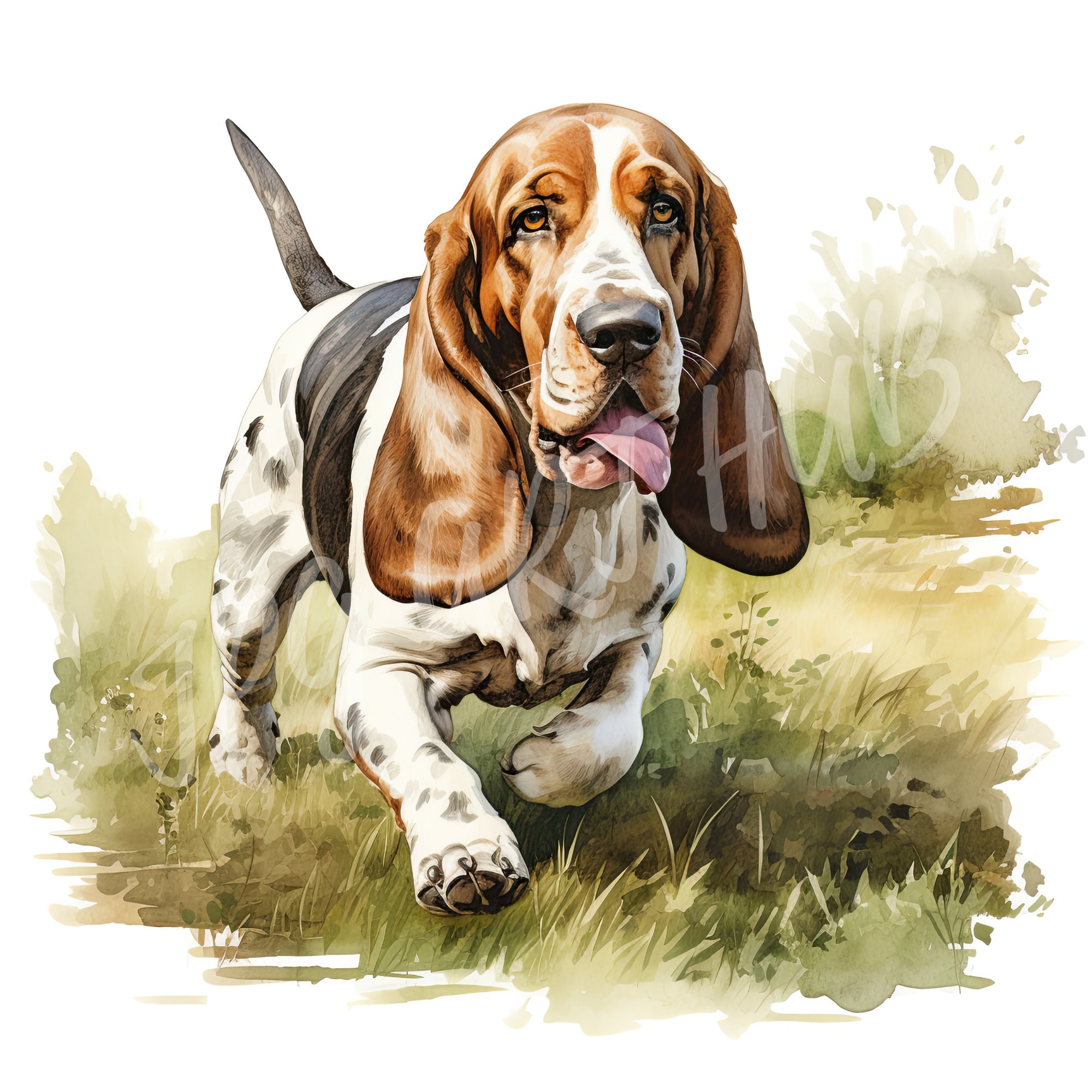 Watercolor Basset Hound Clipart, High Quality JPG, Digital Download ...