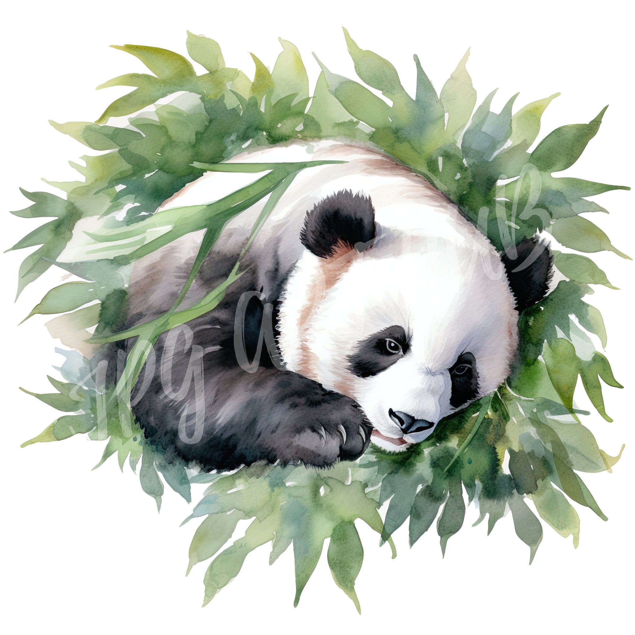Watercolor Cute Panda Clipart Bundle Baby Panda High Quality - Etsy