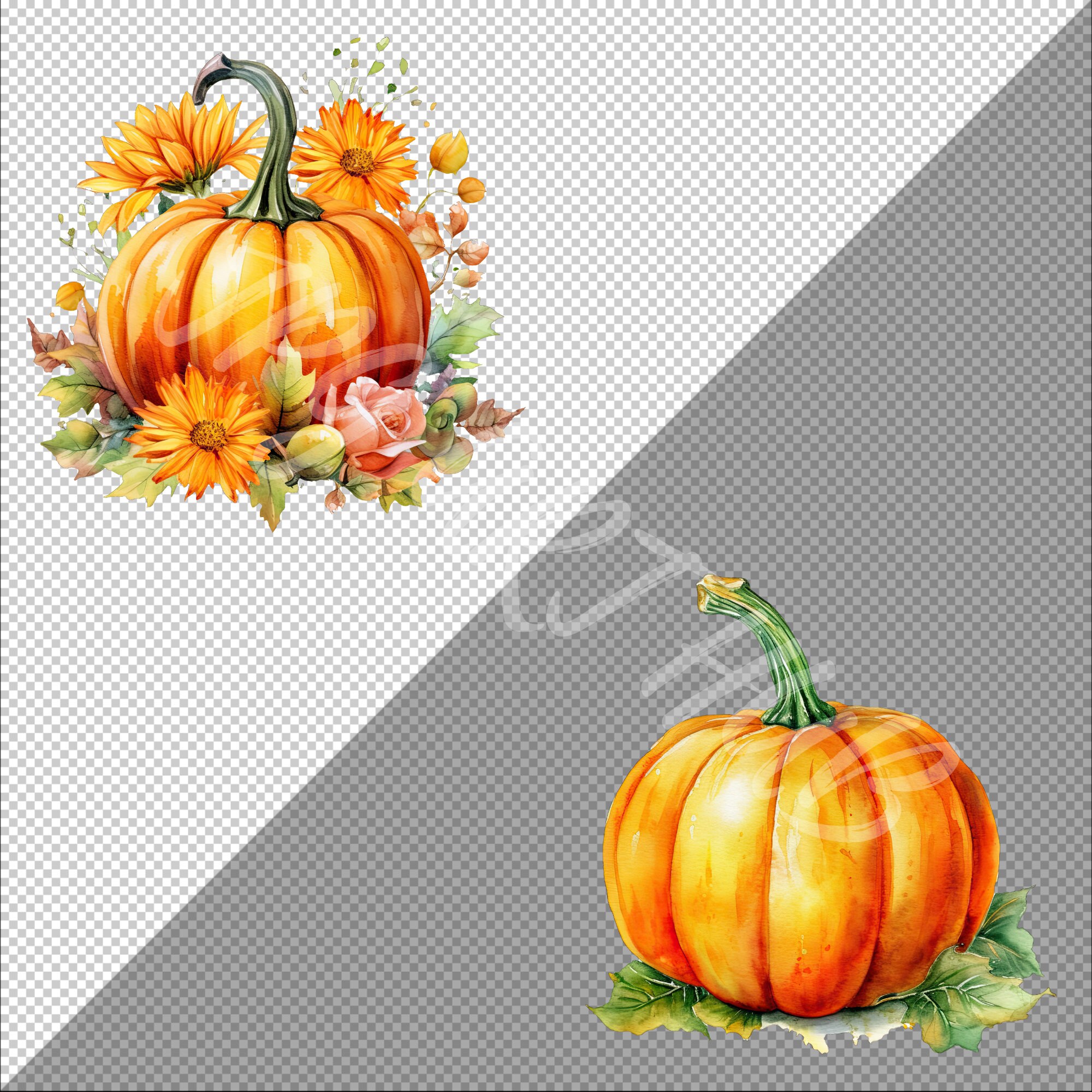 Watercolor Pumpkin Clipart, Fall Clipart Bundle, High Quality PNG ...