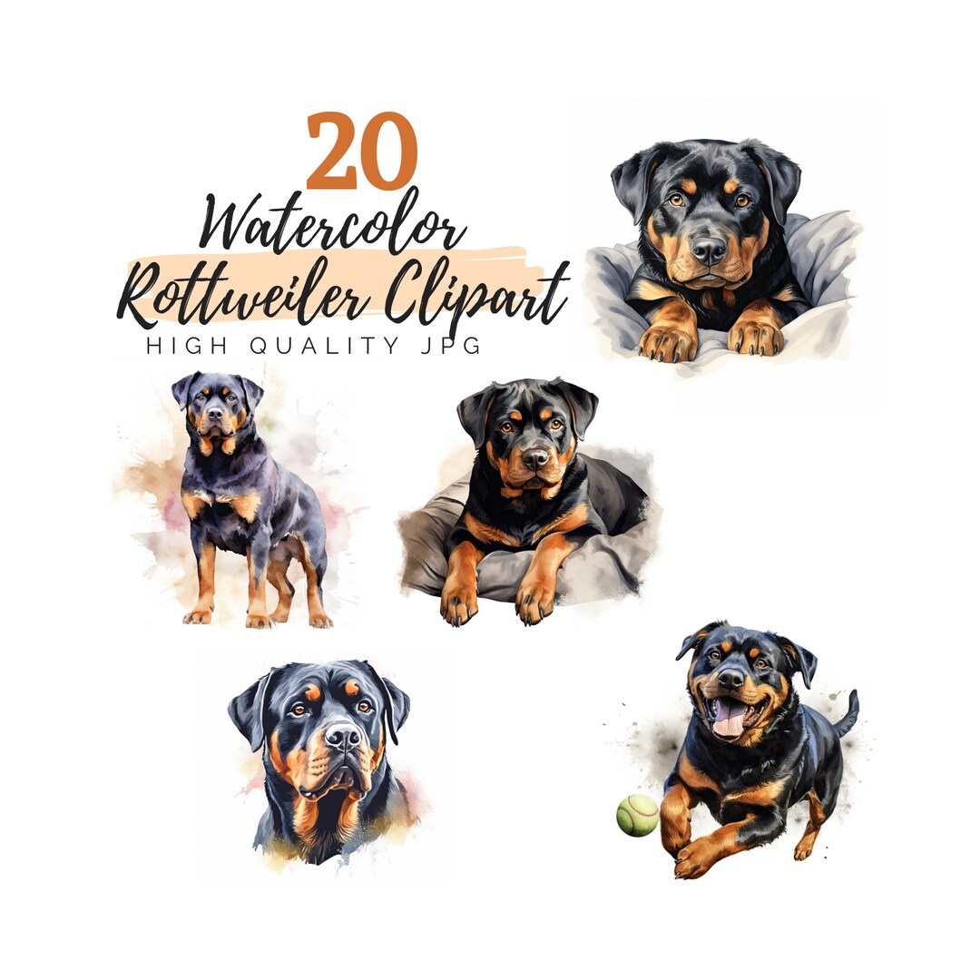 Watercolor Rottweiler Clipart, High Quality JPG, Digital Download ...