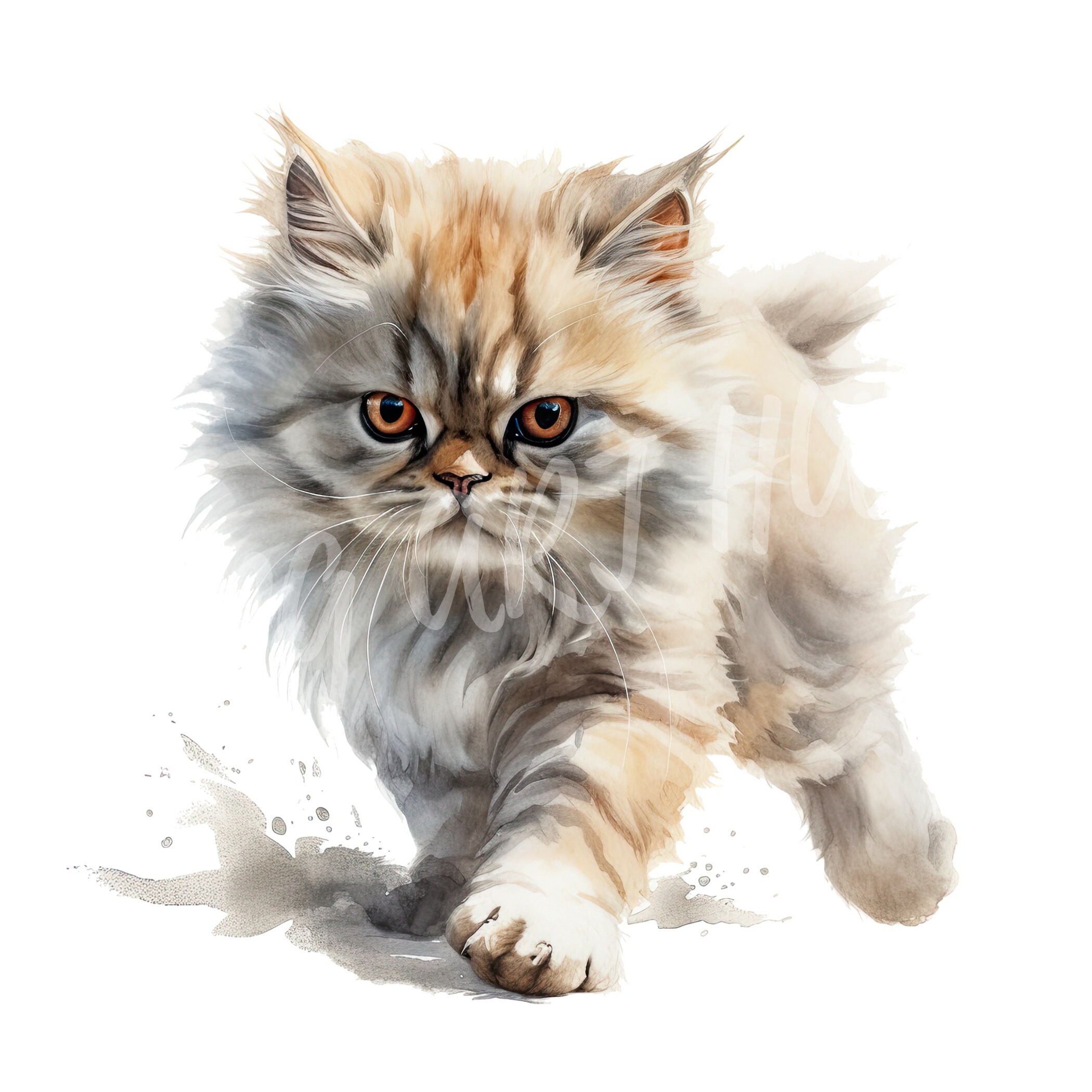 Watercolor Persian Kitten Clipart, Cat Lover, Digital Download, Persian ...