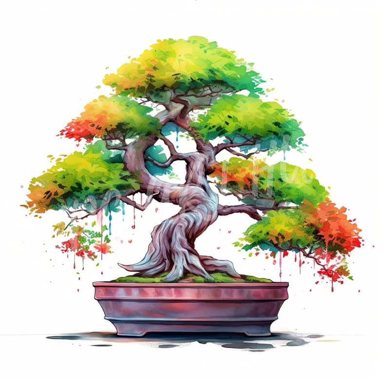 Watercolor Colorful Bonsai Tree Clipart, Bonsai Clipart, Digital ...