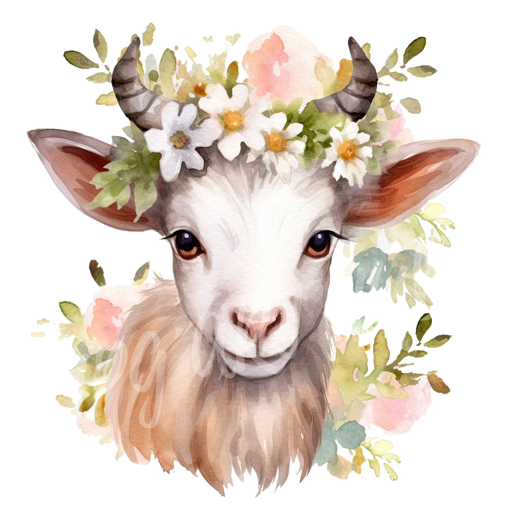 Watercolor Baby Goat Clipart, Goat Illustration, Baby Animals, Farm ...