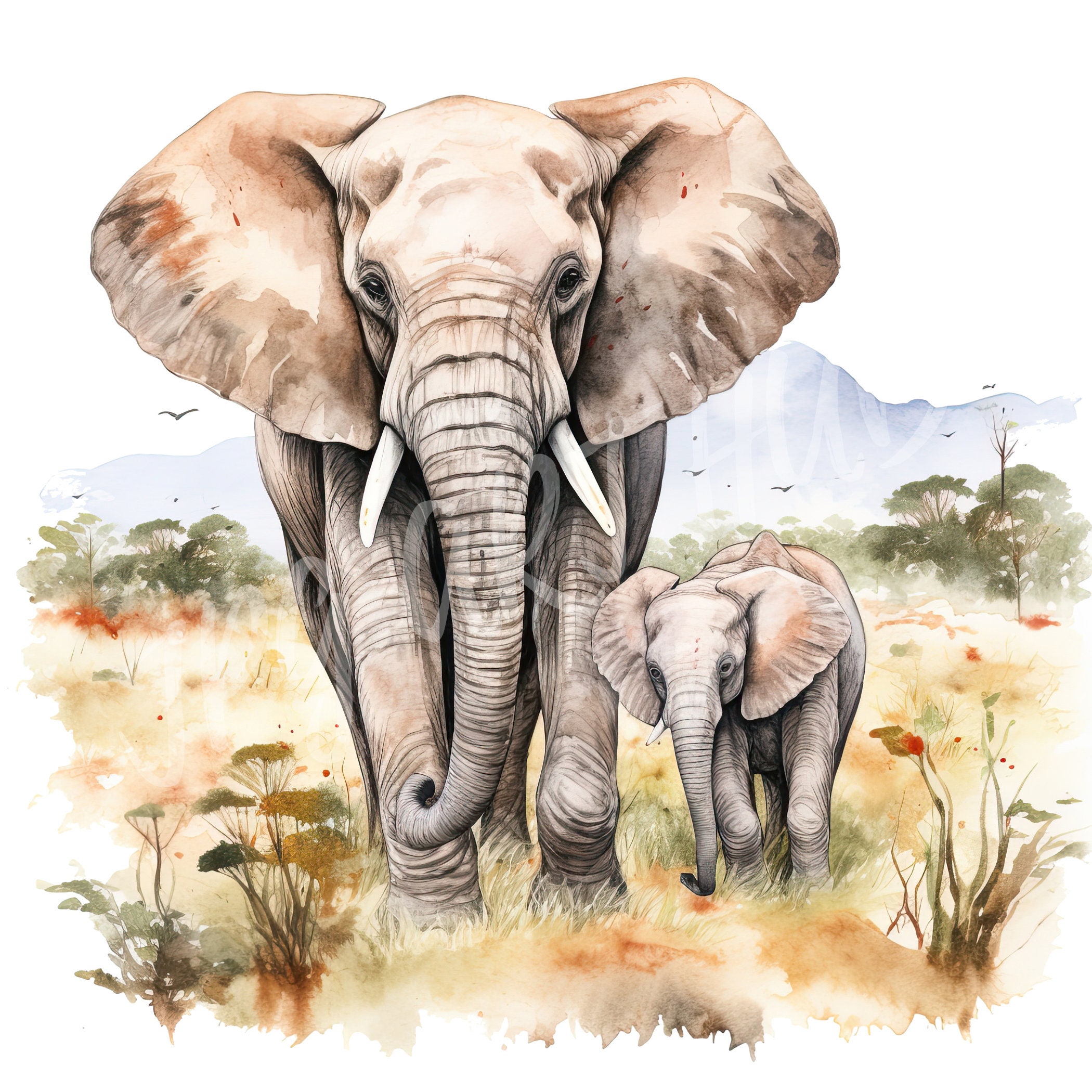 Watercolor Elephants Clipart Bundle, Wild Animal Clipart, High Quality ...