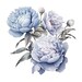 Watercolor Blue Peonies Clipart, Flower Clipart, Digital Download ...