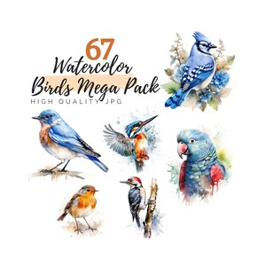 Watercolor Birds Clipart Bundle, Kingfisher Clipart, Parrot Clipart ...