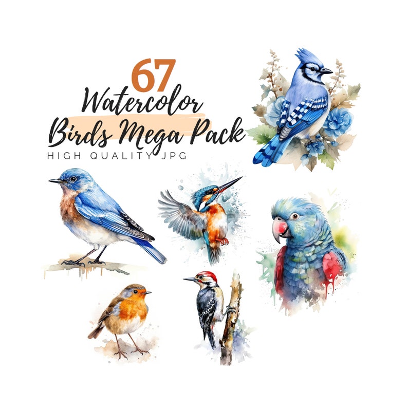 Watercolor Birds Clipart Bundle, Kingfisher Clipart, Parrot Clipart ...