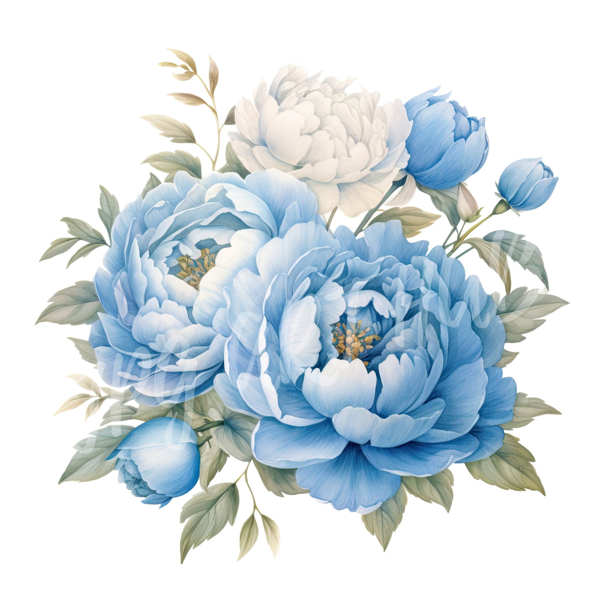 Watercolor Blue Peonies Clipart, Flower Clipart, Digital Download ...