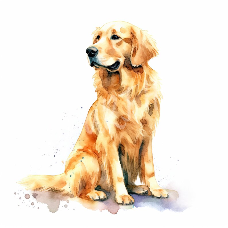 Watercolor Golden Retriever Clipart High Quality JPG Digital - Etsy