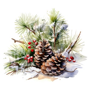 Watercolor Christmas Pine Cones Clipart, High Quality JPG, Digital ...