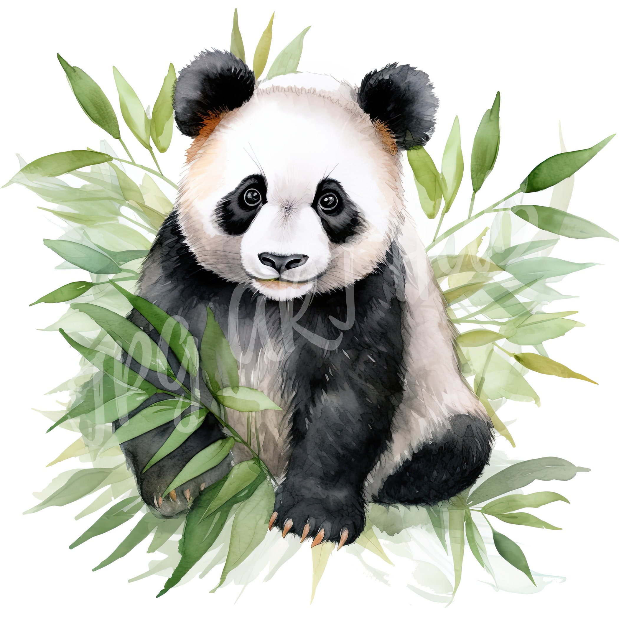 Watercolor Cute Panda Clipart Bundle Baby Panda High Quality - Etsy