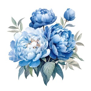 Watercolor Blue Peonies Clipart, Flower Clipart, Digital Download ...