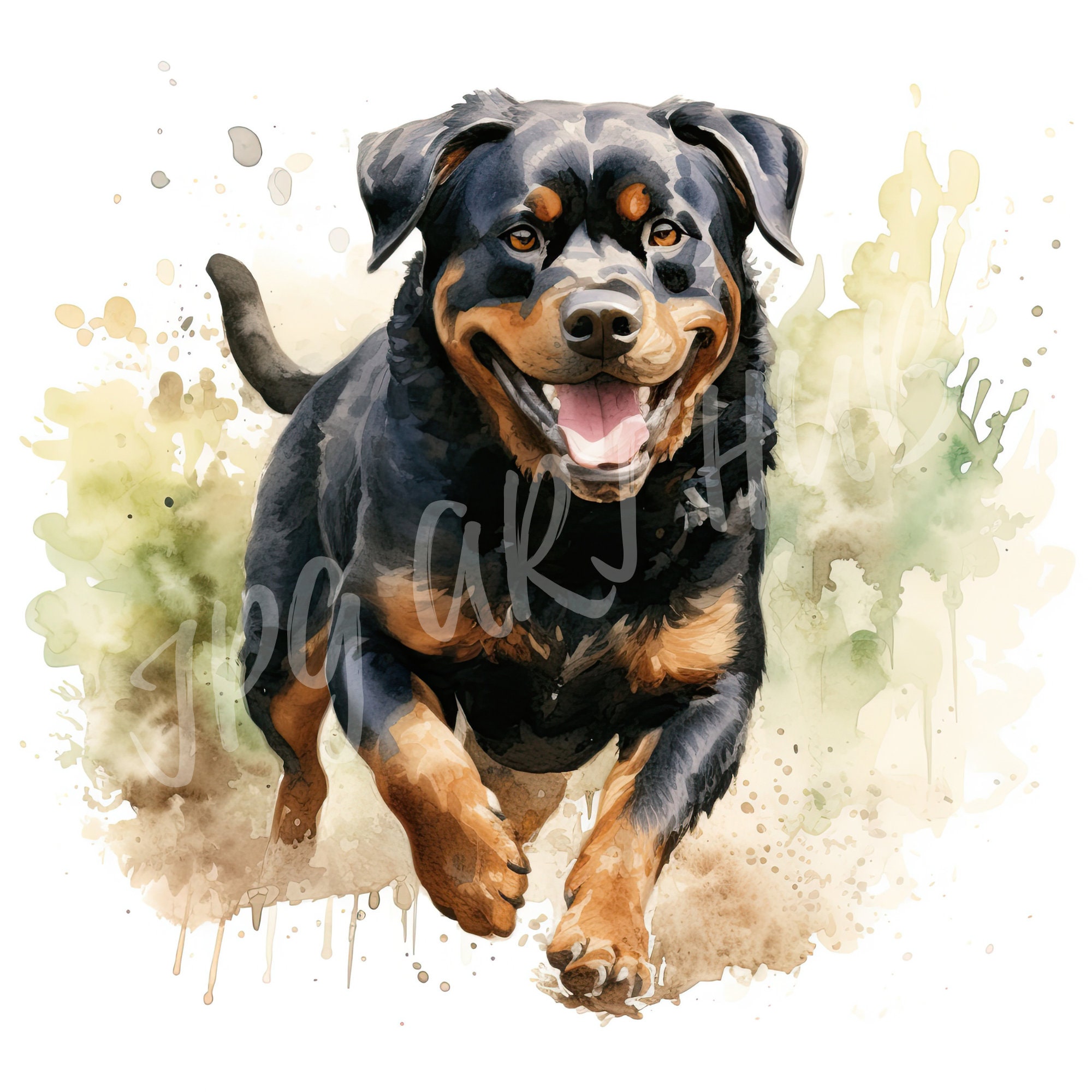 Watercolor Rottweiler Clipart, High Quality JPG, Digital Download ...