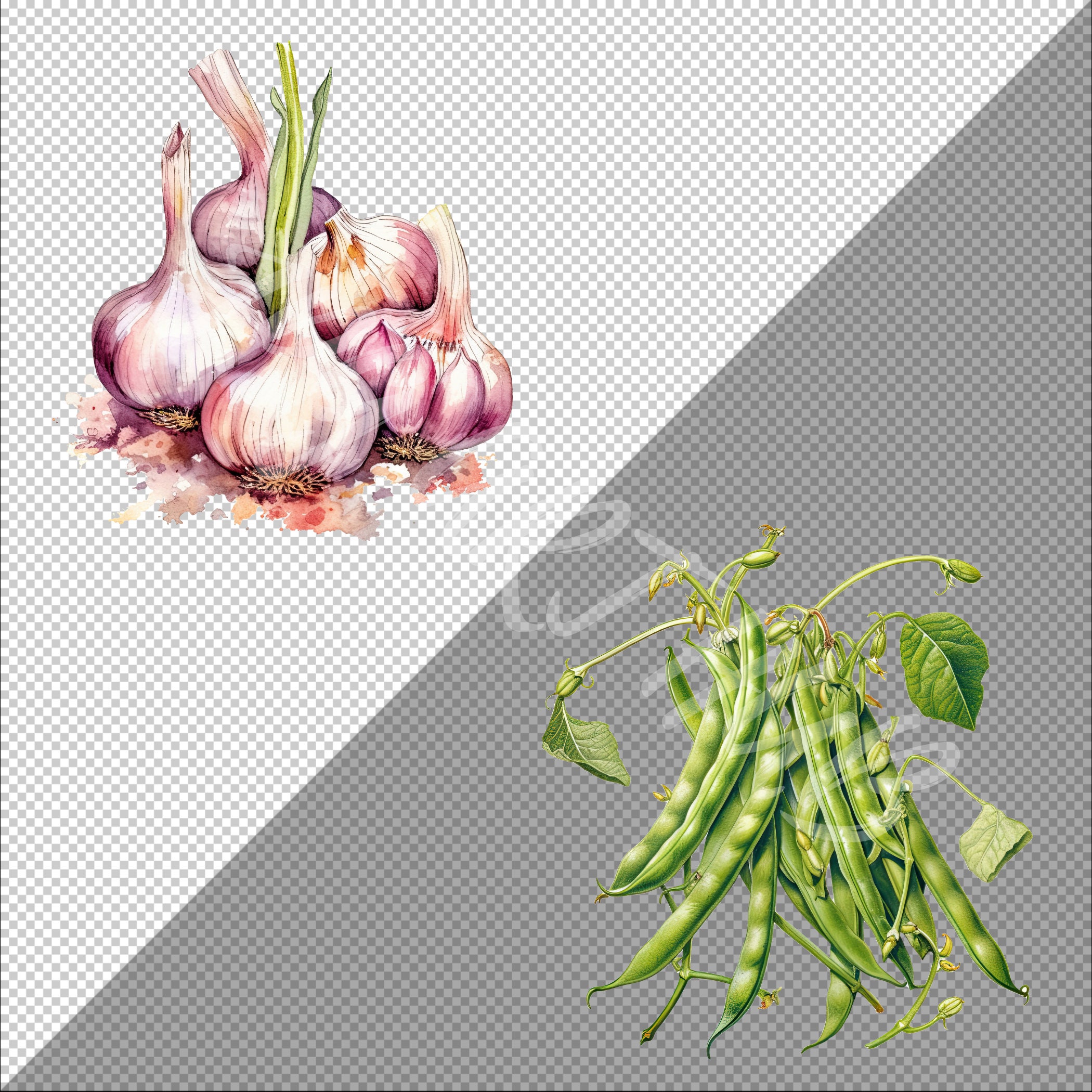 Watercolor Vegetables Clipart PNG, Veggies Clipart, Food Clipart ...