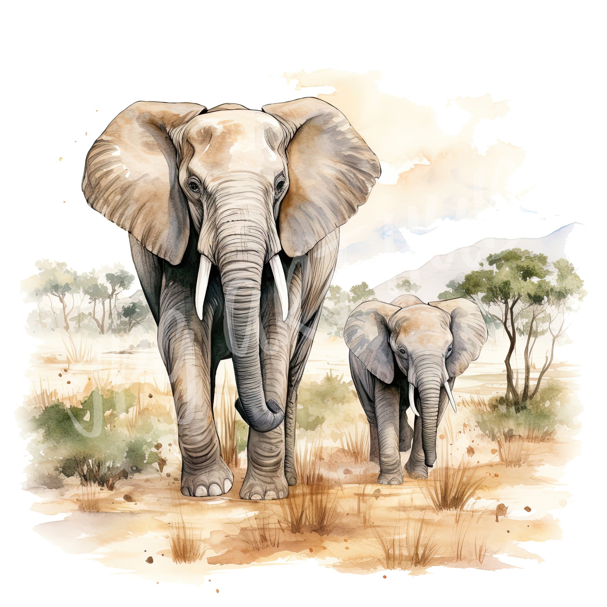 Watercolor Elephants Clipart Bundle, Wild Animal Clipart, High Quality ...
