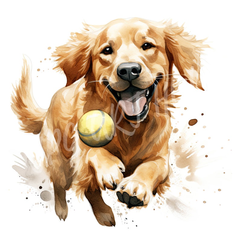 Watercolor Golden Retriever Clipart High Quality JPG Digital - Etsy
