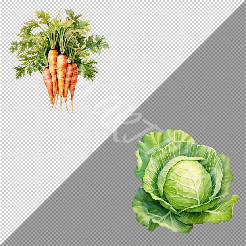 Watercolor Vegetables Clipart PNG, Veggies Clipart, Food Clipart ...
