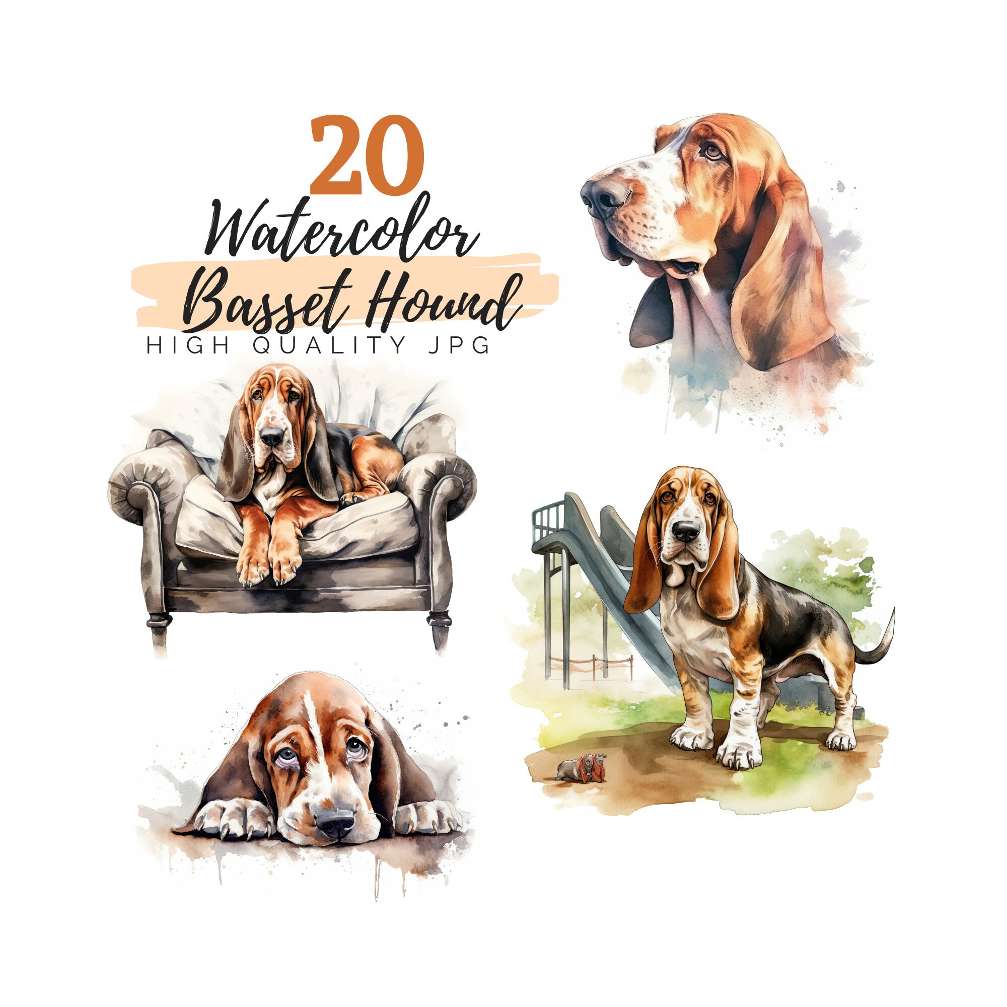 Watercolor Basset Hound Clipart, High Quality JPG, Digital Download ...