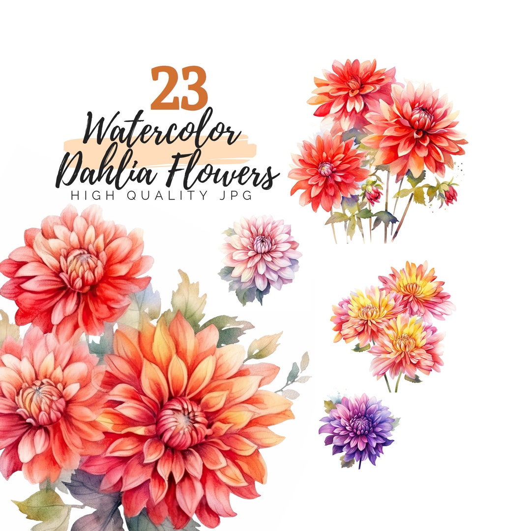 Watercolor Dahlia Flowers Clipart, Dahlia Clipart, Watercolor Flower ...
