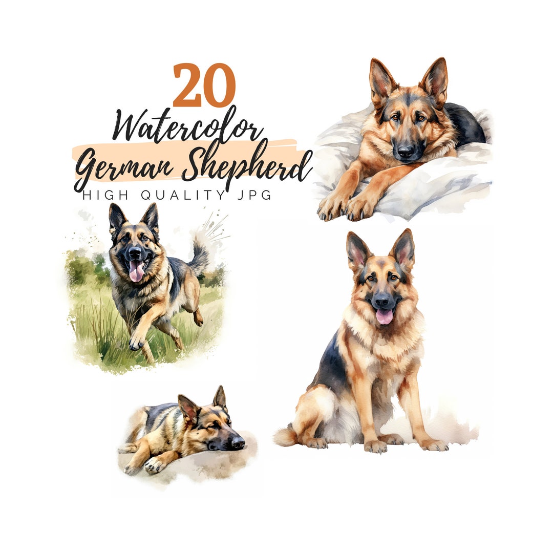 Watercolor German Shepherd Clipart, High Quality JPG, Digital Download ...