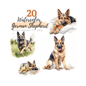 Watercolor German Shepherd Clipart, High Quality JPG, Digital Download ...