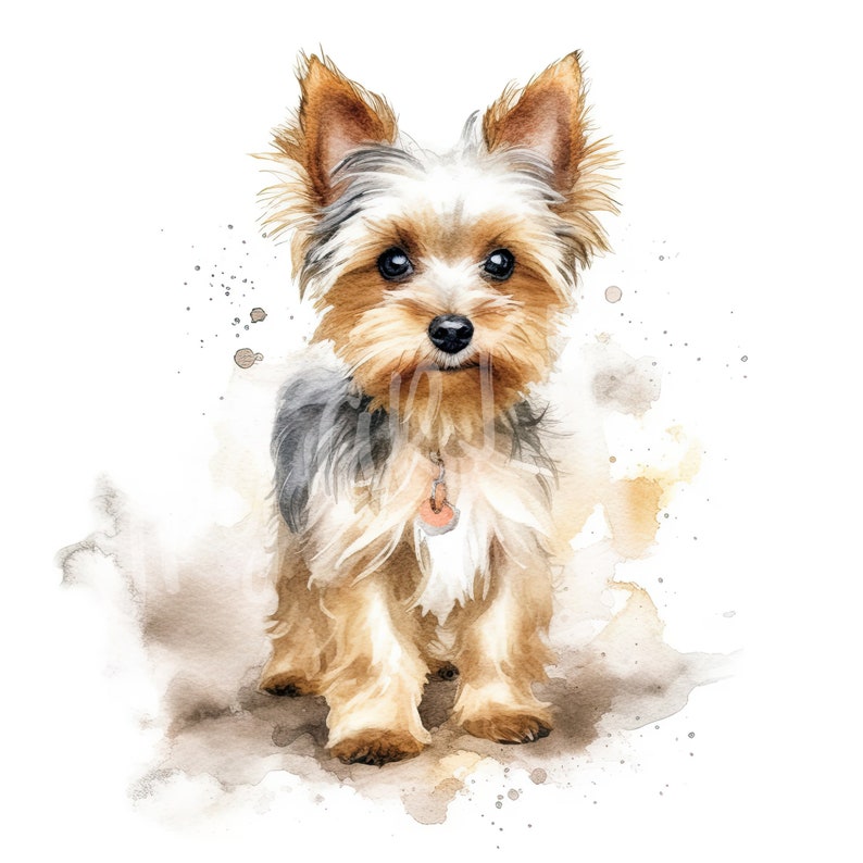 Watercolor Yorkshire Terrier Clipart, High Quality JPG, Digital ...