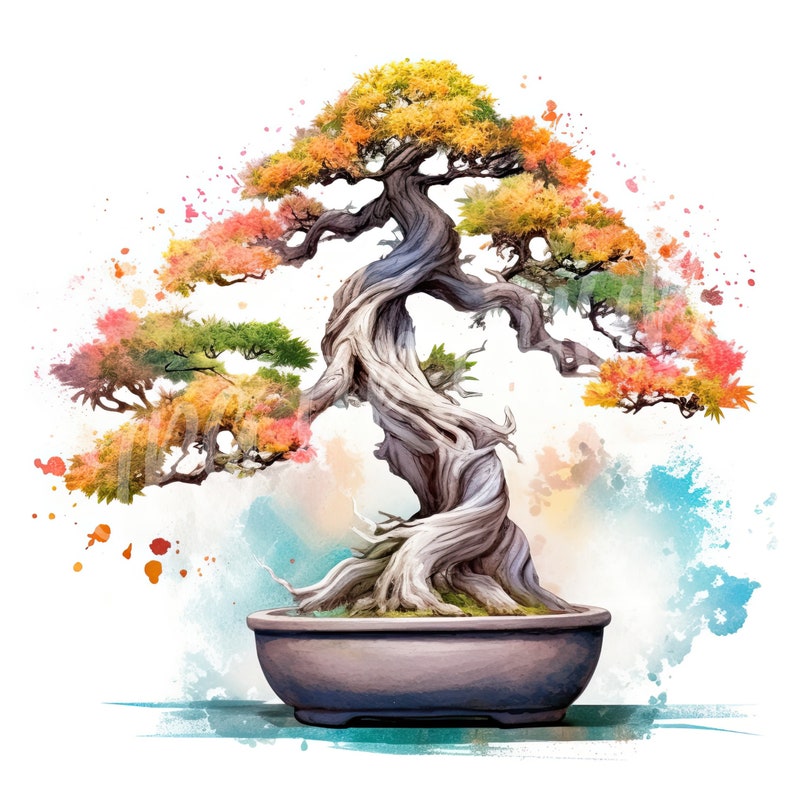 Watercolor Colorful Bonsai Tree Clipart Bonsai Clipart - Etsy