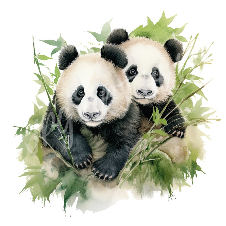 Watercolor Cute Panda Clipart Bundle Baby Panda High Quality - Etsy