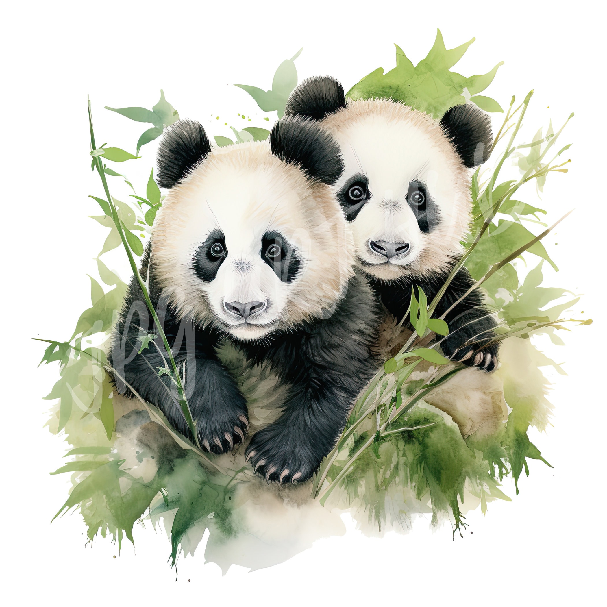 Watercolor Cute Panda Clipart Bundle Baby Panda High Quality - Etsy