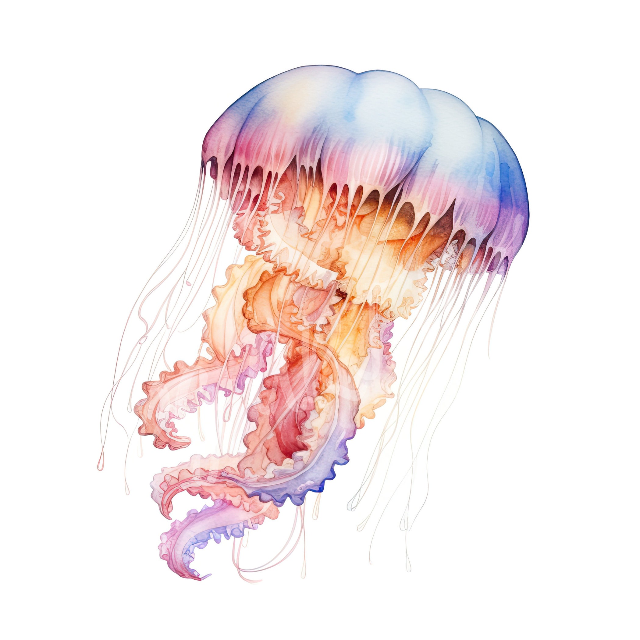 Watercolor Colorful Jellyfish Clipart, Ocean Animals, Digital Download ...
