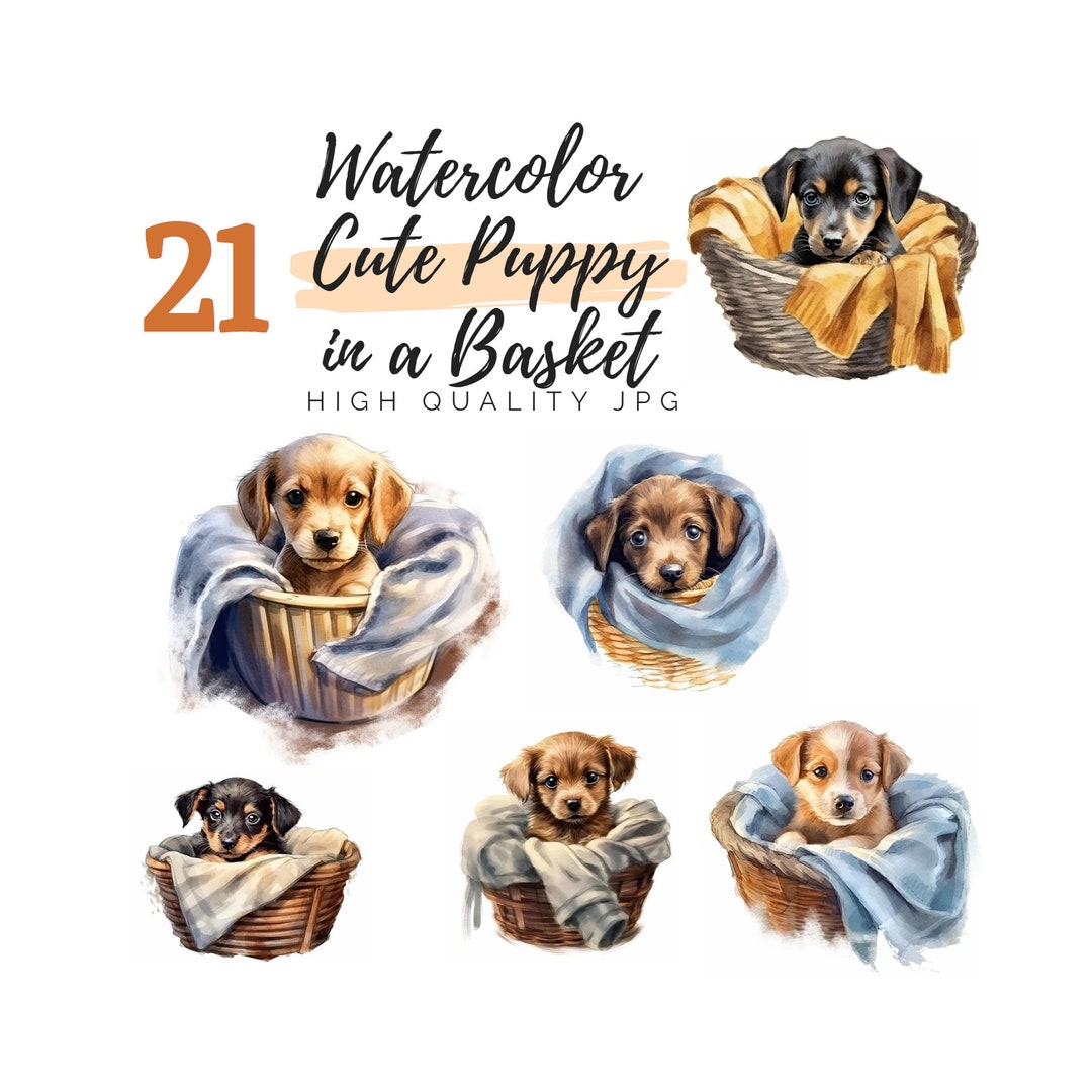 Watercolor Cute Puppy in a Basket Clipart, Puppy Clipart, Digital ...