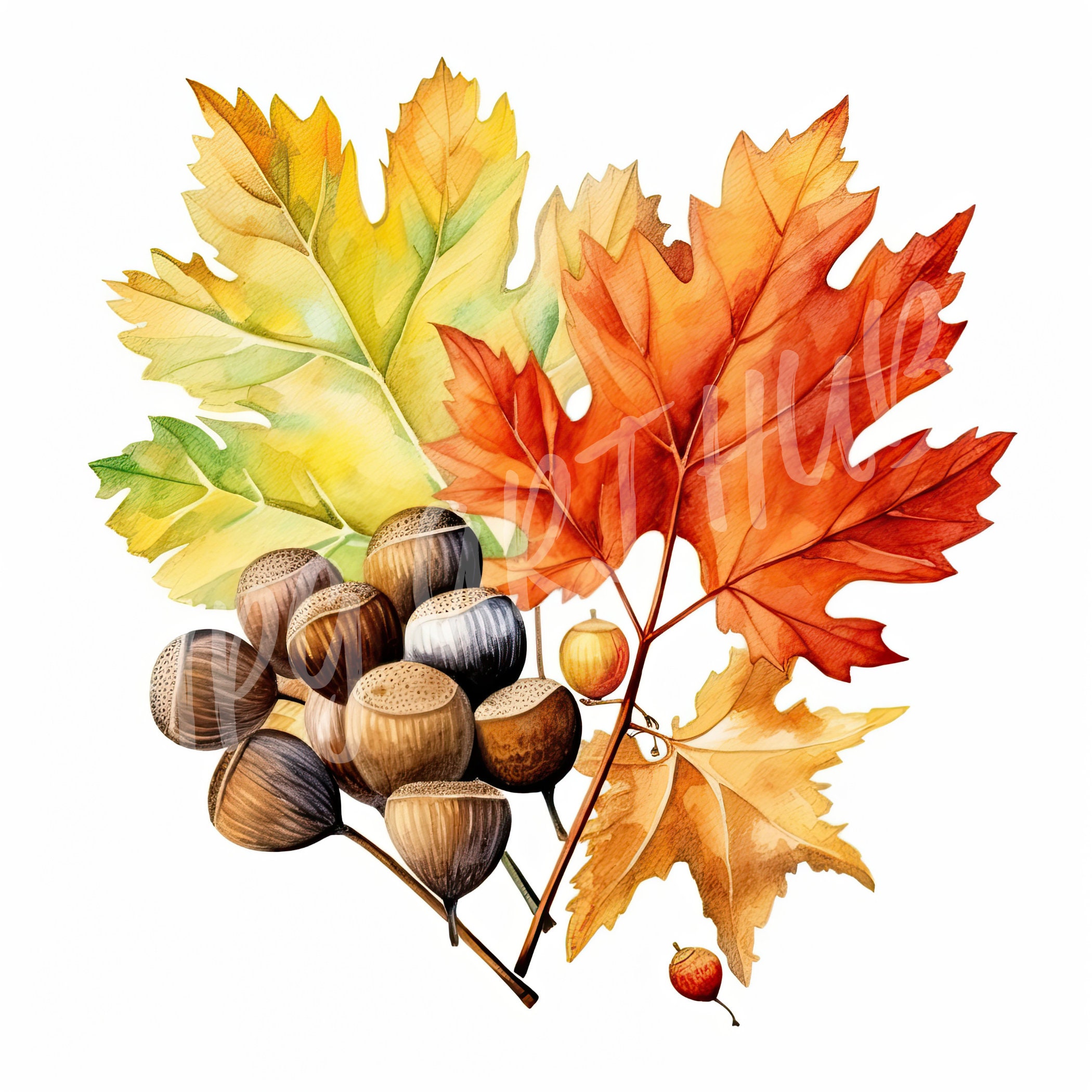 Watercolor Fall Season Clipart Bundle Autumn Clipart High - Etsy