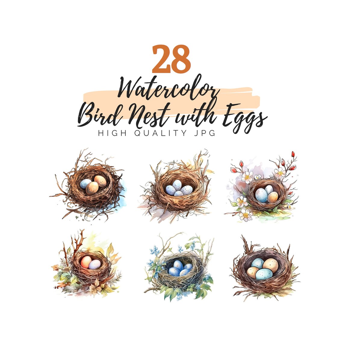 Watercolor Bird Nest With Eggs Clipart, Bird Nest Clipart, Digital ...