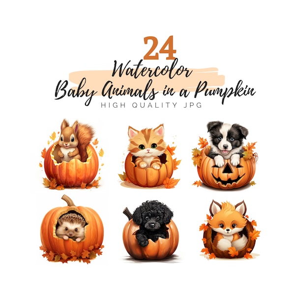 Pumpkin Clipart - Etsy