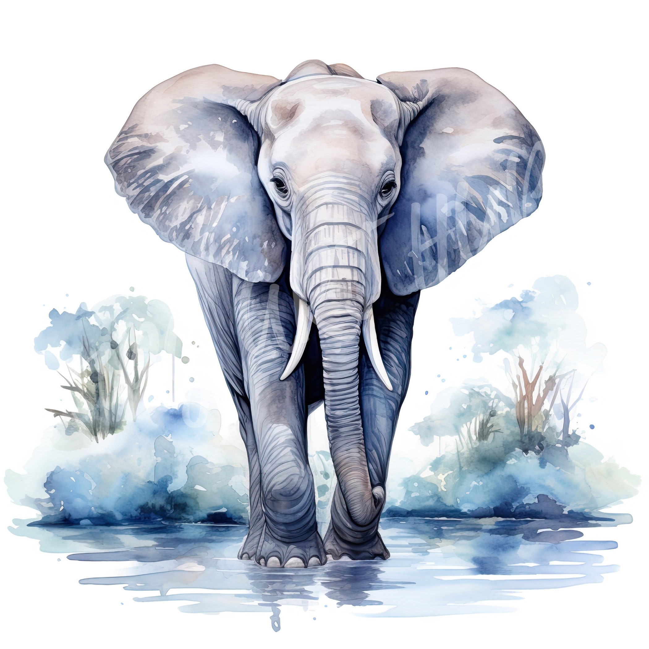 Watercolor Elephants Clipart Bundle, Wild Animal Clipart, High Quality ...