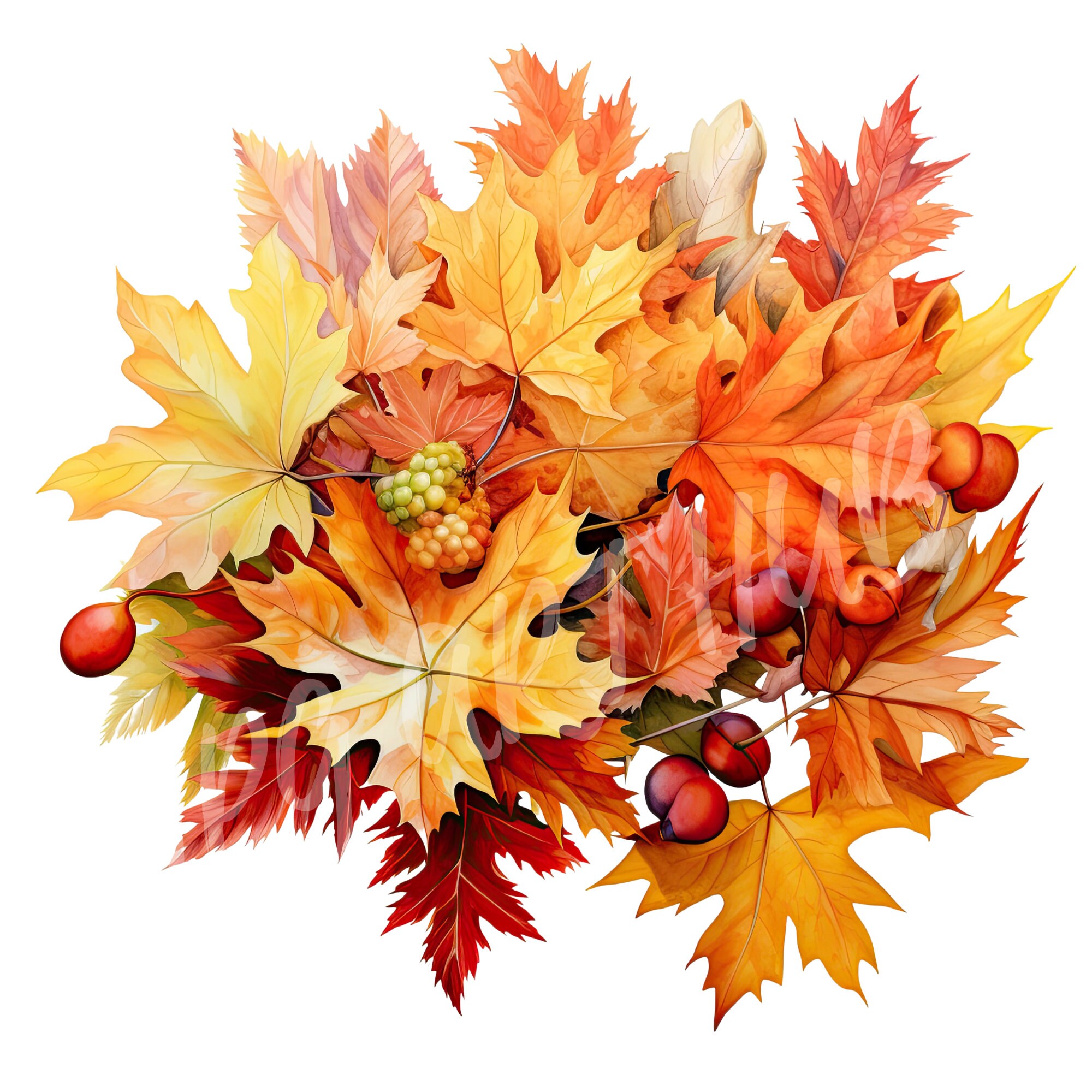 Watercolor Autumn Leaves Clipart Autumn Clipart. High Quality - Etsy
