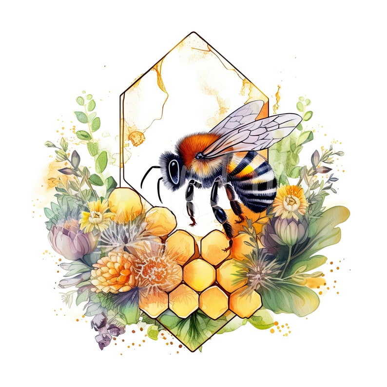Watercolor Bee Honeycomb Clipart, Bee Clipart, Honey Clipart, Digital ...