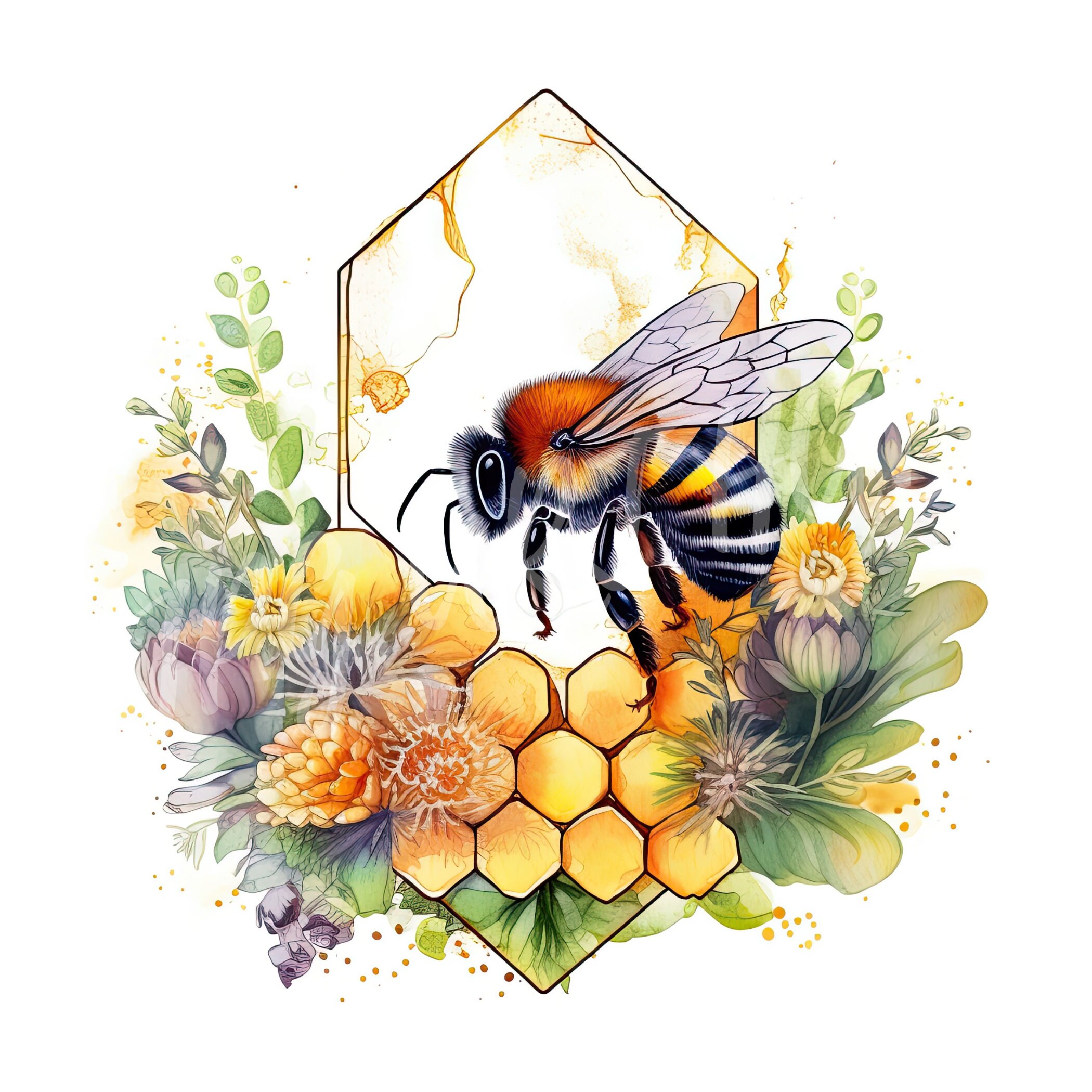 Watercolor Bee Honeycomb Clipart, Bee Clipart, Honey Clipart, Digital ...