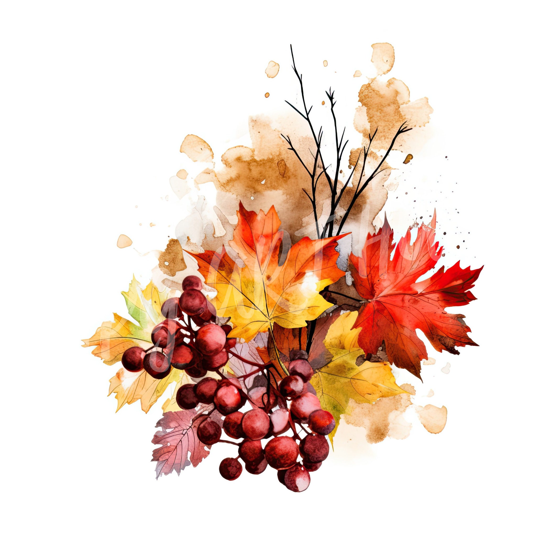 Watercolor Autumn Elements Clipart, Autumn Clipart, Pine Cone ...