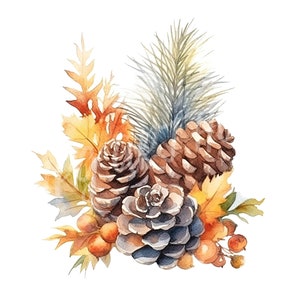 Watercolor Autumn Elements Clipart, Autumn Clipart, Pine Cone ...