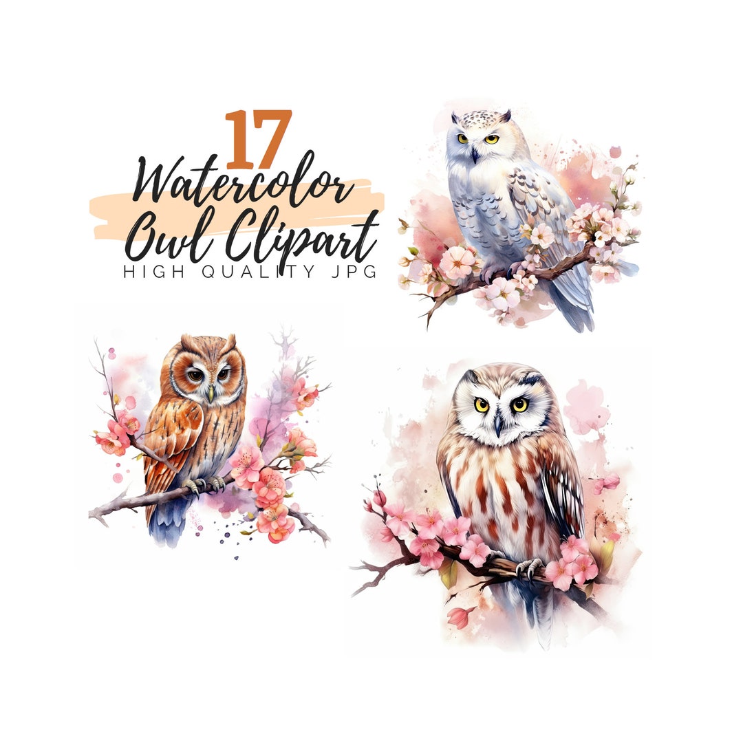 Watercolor Owl Clipart, Scrapbooking, High Quality JPG, Digital ...