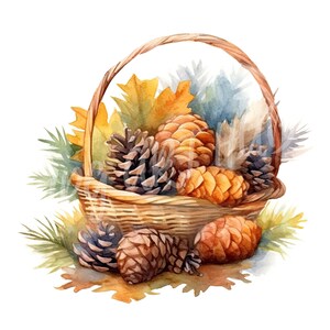 Watercolor Autumn Elements Clipart, Autumn Clipart, Pine Cone ...