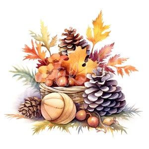 Watercolor Autumn Elements Clipart, Autumn Clipart, Pine Cone ...